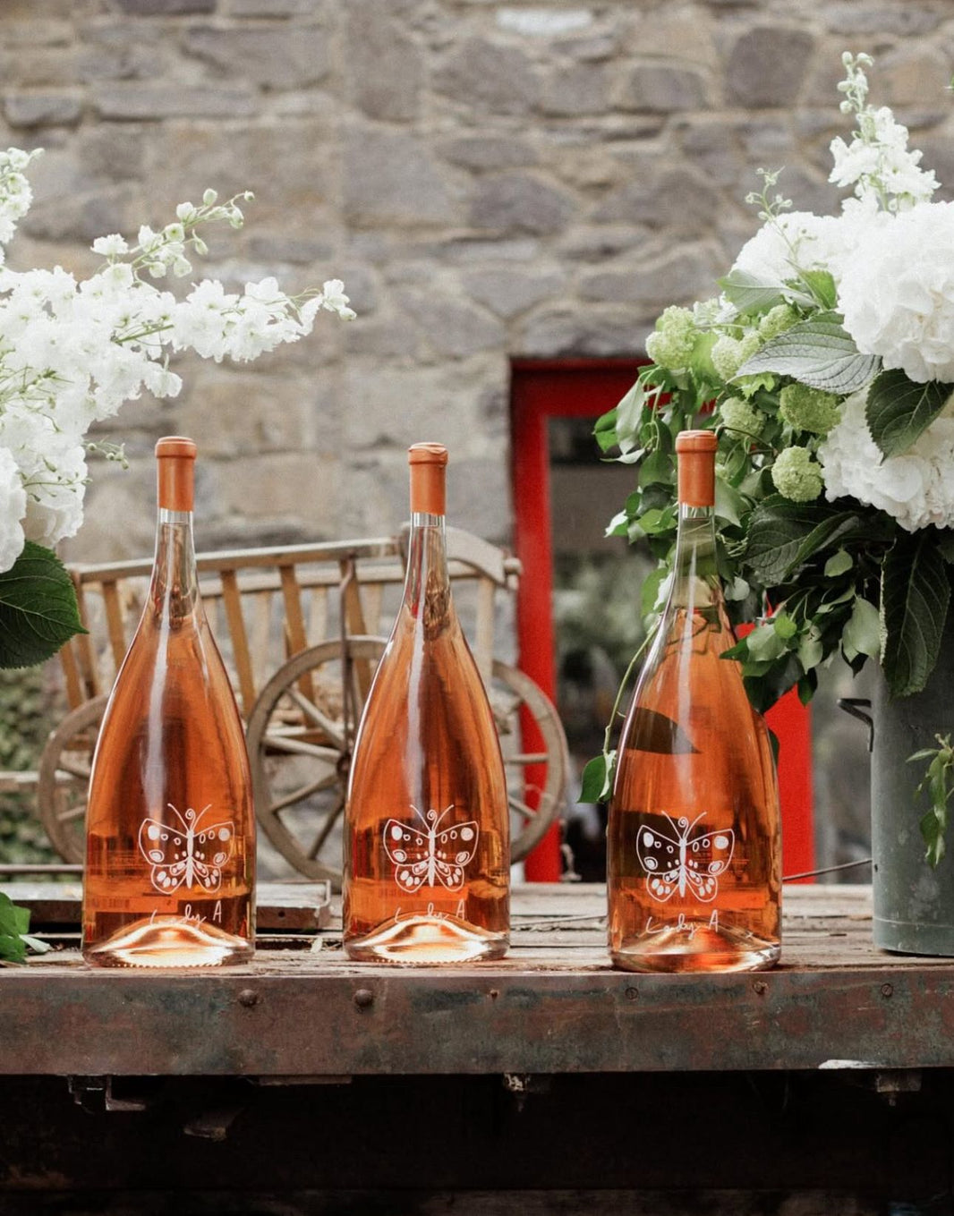 Lady A | Rosé and Red Wine